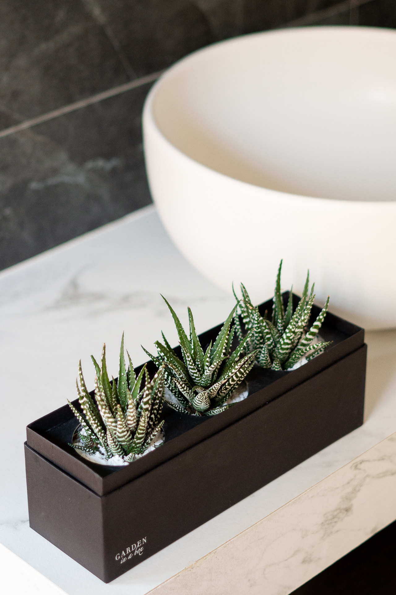 Single Black Original Garden - Garden In A Box