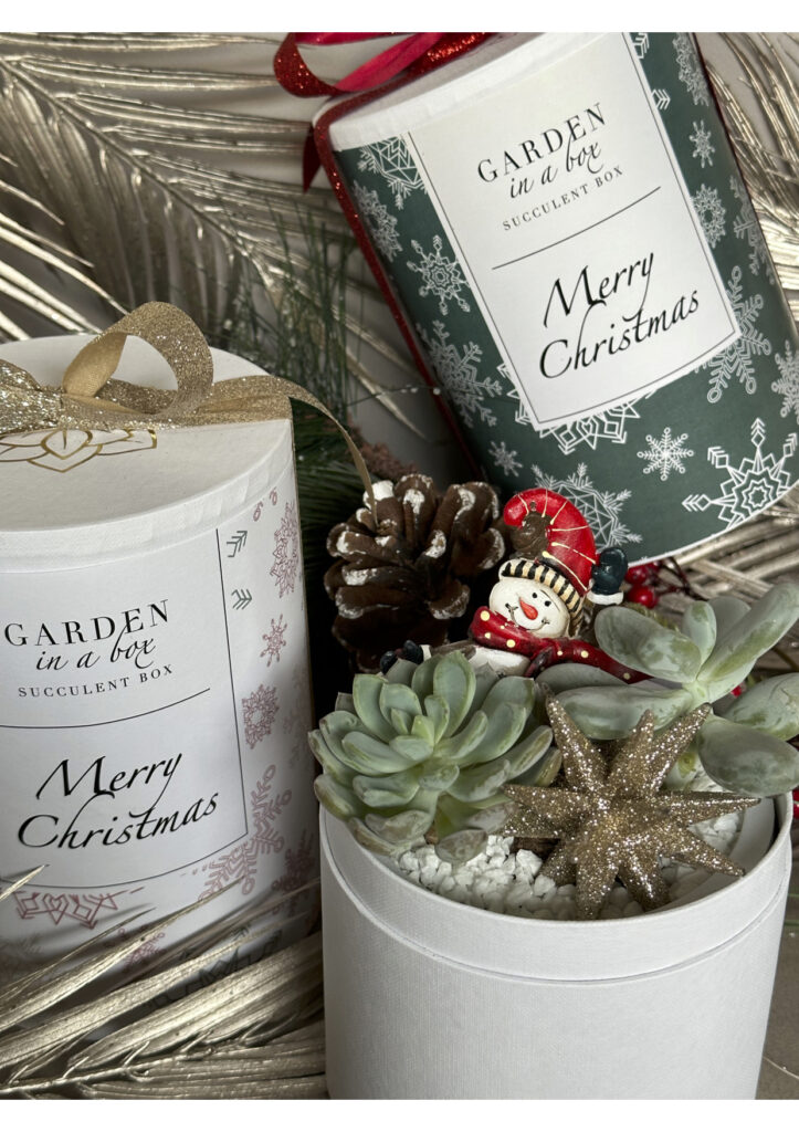 CHRISTMAS GIFTS - Garden In A Box
